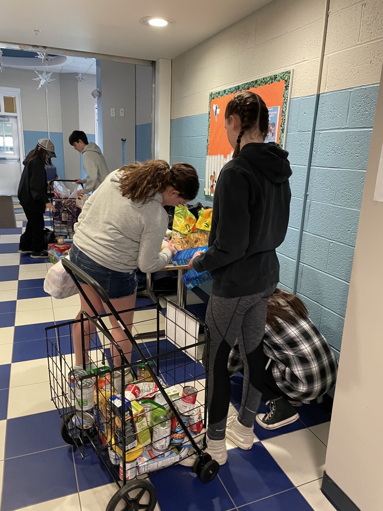 Live Feed | York Middle School